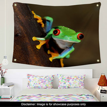 Frog Themed Decor | Bedroom | Wall Decor