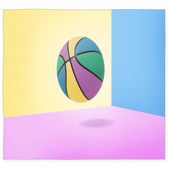 Basketball Rugs & Custom Size Floor Mats