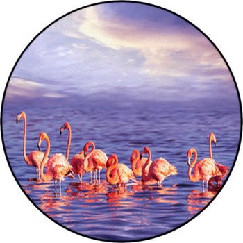 Flamingo Rugs & Custom Size Floor Mats