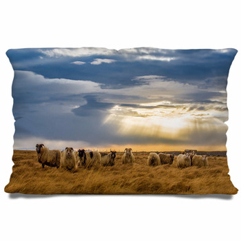Sheep Comforters, Duvets, Sheets & Sets | Custom