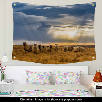 Sheep Wall Decor in Canvas, Murals, Tapestries, Posters & More