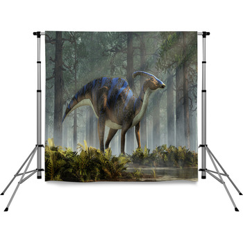 Dinosaur Photo Backdrops | Available in Very Large Custom Sizes