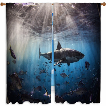 Shark Curtains & Drapes | Block Out | Custom Sizes