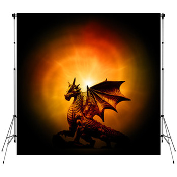 Dragon Photographer Backdrops | Available in Ultra Large Custom Sizes