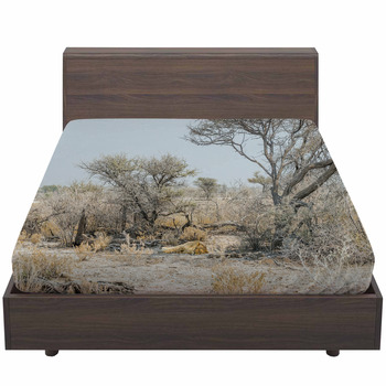 African Bedding Sets | Comforters | Duvet Covers | Tribal Styles