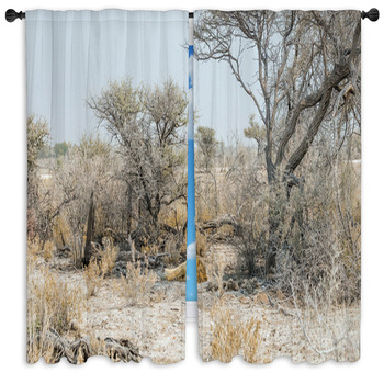 African Drapes & Window Treatments | Black Out | Custom Sizes