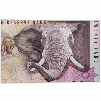 Elephant Area Rugs & Custom Size Floor Mats