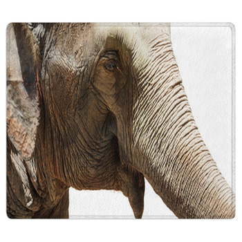 Elephant Area Rugs & Custom Size Floor Mats