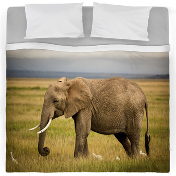 Elephant Comforters, Duvets, Sheets & Sets | Personalized