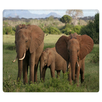 Elephant Area Rugs & Custom Size Floor Mats