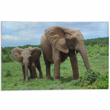 Elephant Area Rugs & Custom Size Floor Mats
