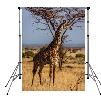 Safari Photo Backdrops | Available in nearly ANY Custom Sizes