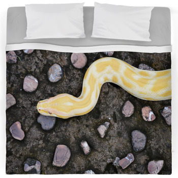 Snake Comforters, Duvets, Sheets & Sets | Custom