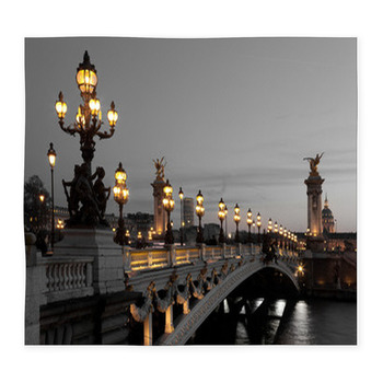 Paris Area Rugs & Floor Mats