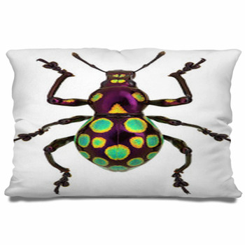Insect Comforters, Duvets, Sheets & Sets | Custom
