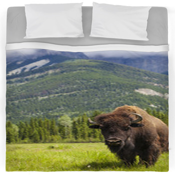 Buffalo Comforters, Duvets, Sheets & Sets | Personalized