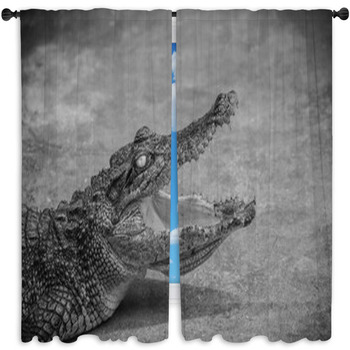 Alligator & crocodile Window Curtains & Drapes | Block Out | Custom Sizes