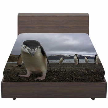 Penguin Comforters, Duvets, Sheets & Sets | Custom