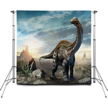 Dinosaur Photo Backdrops | Available in Very Large Custom Sizes