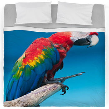 Parrot Comforters, Duvets, Sheets & Sets | Personalized