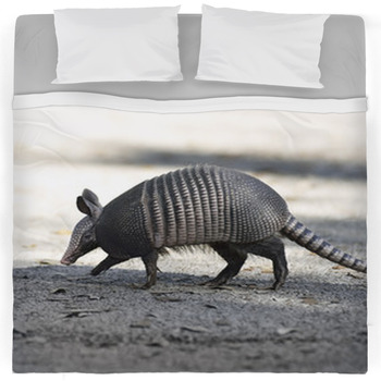 Armadillo Comforters, Duvets, Sheets & Sets | Personalized