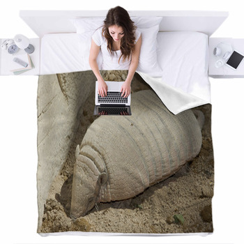 Armadillo Comforters, Duvets, Sheets & Sets | Personalized