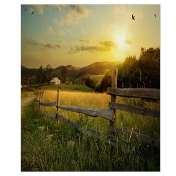 Country Wall Decor in Canvas, Murals, Tapestries, Posters & More