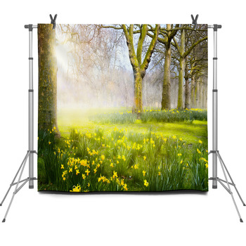 Spring Custom Backdrops | Available in nearly ANY Custom Sizes