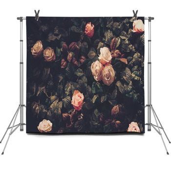 Rose Photographer Backdrops | Available in Very Large Custom Sizes