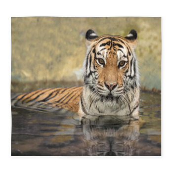 Tiger Area Rugs & Custom Size Floor Mats