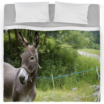 Donkey Comforters, Duvets, Sheets & Sets | Personalized