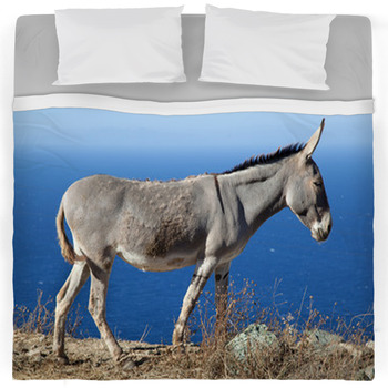 Donkey Comforters, Duvets, Sheets & Sets | Personalized