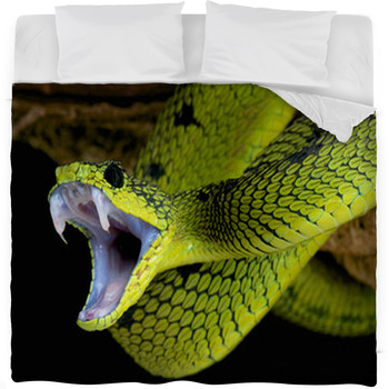 Snake Comforters, Duvets, Sheets & Sets | Custom