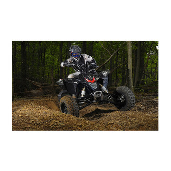 Atv quad Fabric by the Yard | Available in Very Large Custom Sizes