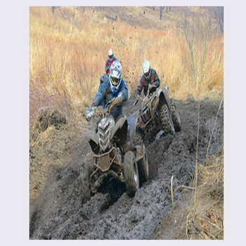 Atv quad Wall Decor in Canvas, Murals, Tapestries, Posters & More