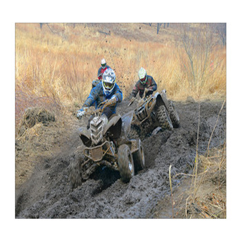 Atv quad Wall Decor in Canvas, Murals, Tapestries, Posters & More