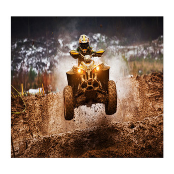 Atv quad Wall Decor | Murals | Tapestry | Posters | Custom Sizes