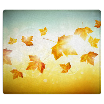 Autumn Rugs & Custom Size Floor Mats