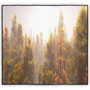 Autumn Rugs & Custom Size Floor Mats