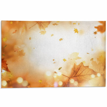 Autumn Rugs & Custom Size Floor Mats