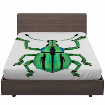 Insect Comforters, Duvets, Sheets & Sets | Custom
