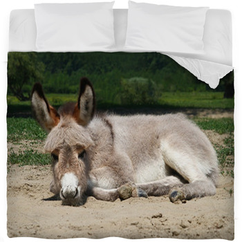 Donkey Comforters, Duvets, Sheets & Sets | Personalized