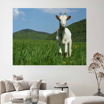 Country Wall Decor | Murals | Tapestry | Posters | Custom Sizes