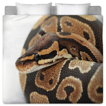 Snake Comforters, Duvets, Sheets & Sets | Custom