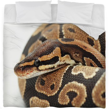 Snake Comforters, Duvets, Sheets & Sets | Custom