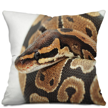Snake Throw Pillows, Cases