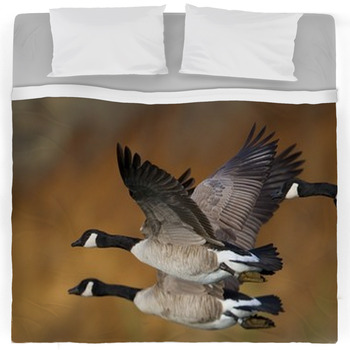 Goose Comforters, Duvets, Sheets & Sets | Custom