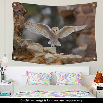 Owl Wall Decor | Murals | Tapestry | Posters | Custom Sizes