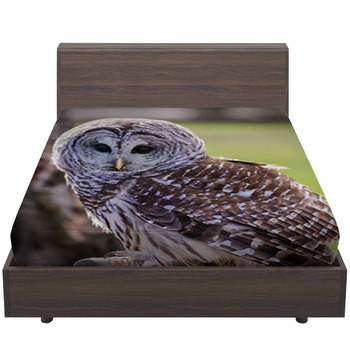 Owl Comforters, Duvets, Sheets & Sets | Personalized