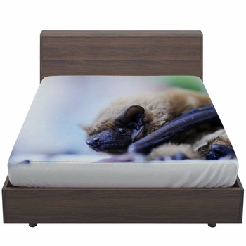 Bat Comforters, Duvets, Sheets & Sets | Personalized